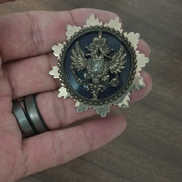 Jewelry | Gold And Black Crest Brooch | Poshmark